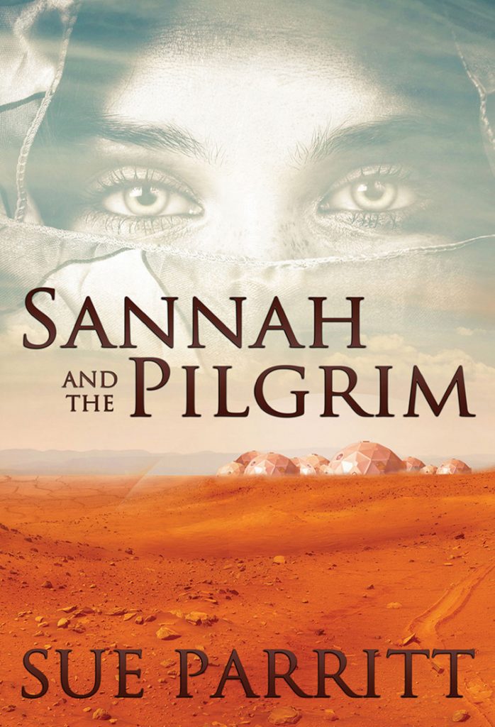 Sannah and the Pilgrim – Odyssey Books
